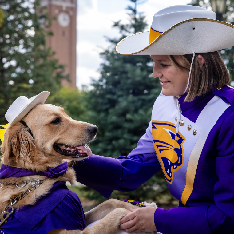Purple and golden | inside UNI