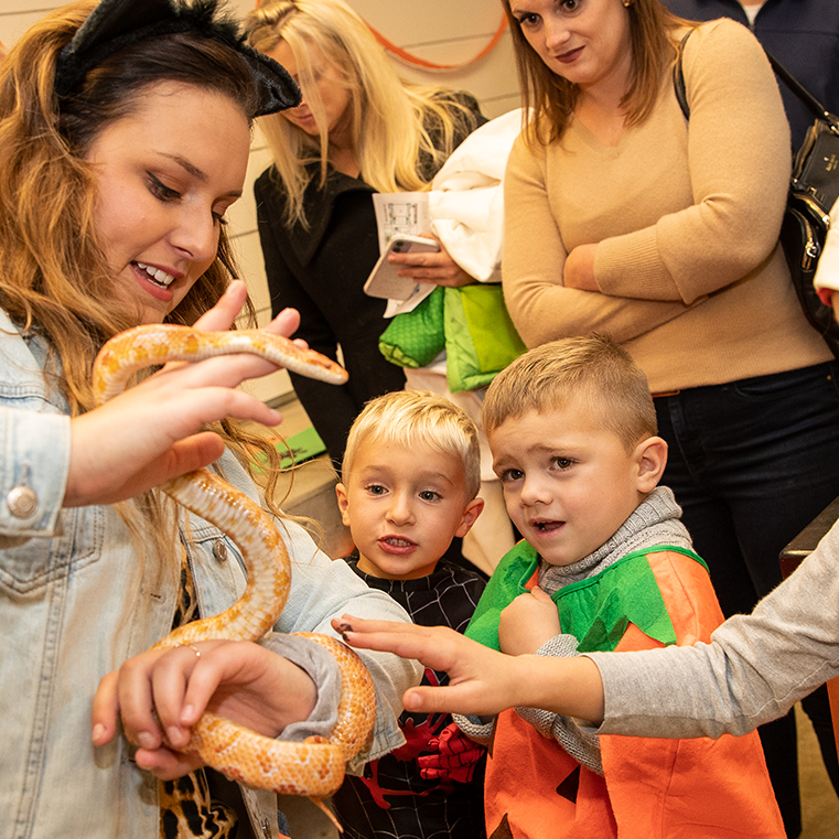 UNI to host Halloween House for children and families | inside UNI